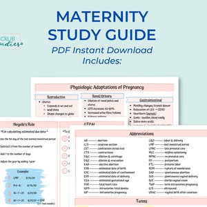OB & Maternity Study Guide Nursing Student Study Guide - Etsy