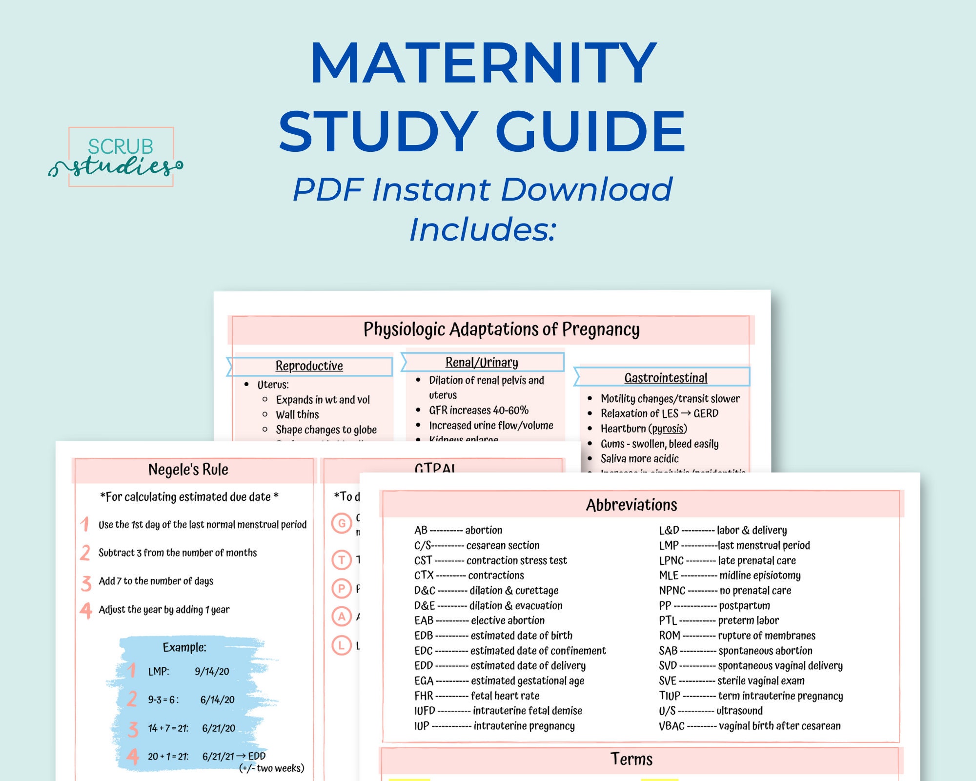 OB & Maternity Study Guide Nursing Student Study Guide - Etsy