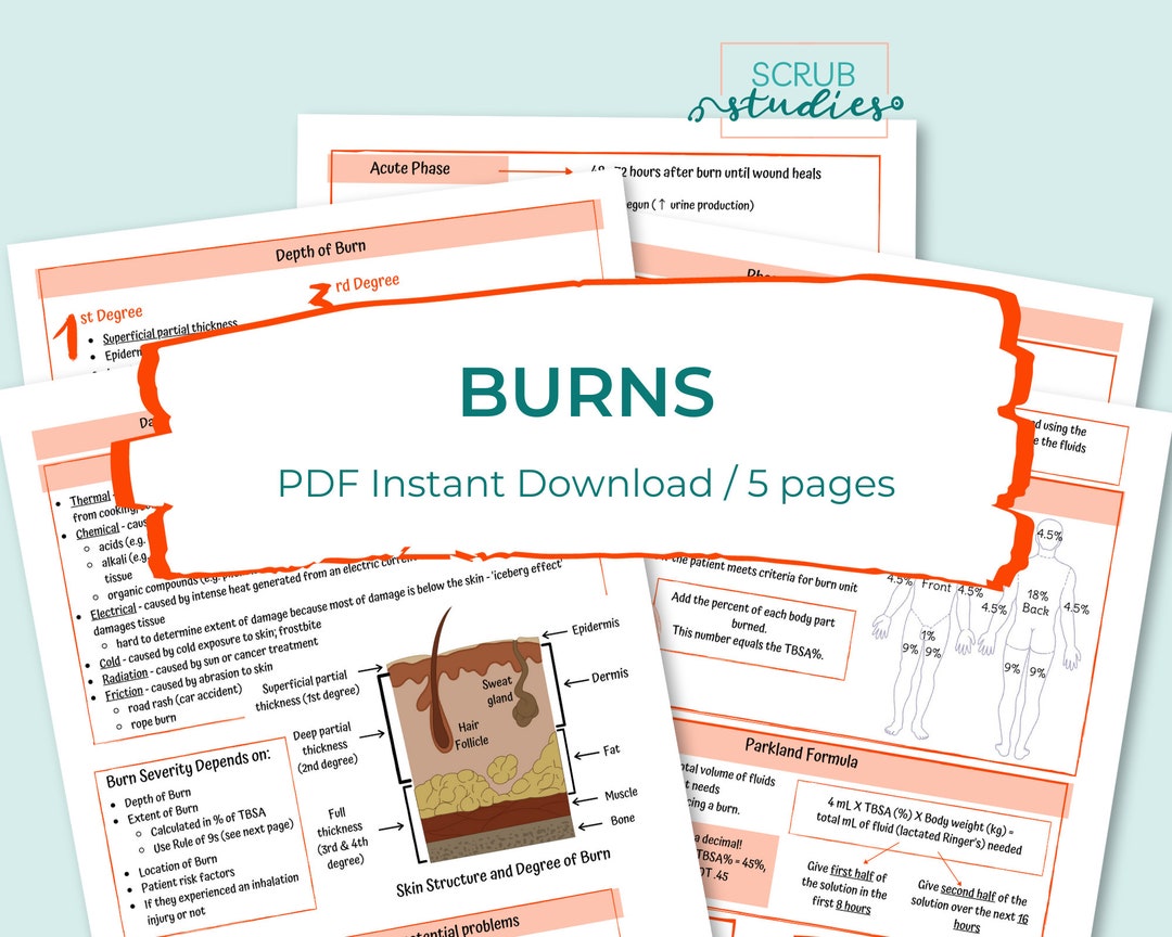 Burns Study Guide | Nursing Study Guide | Digital Download | Nursing ...
