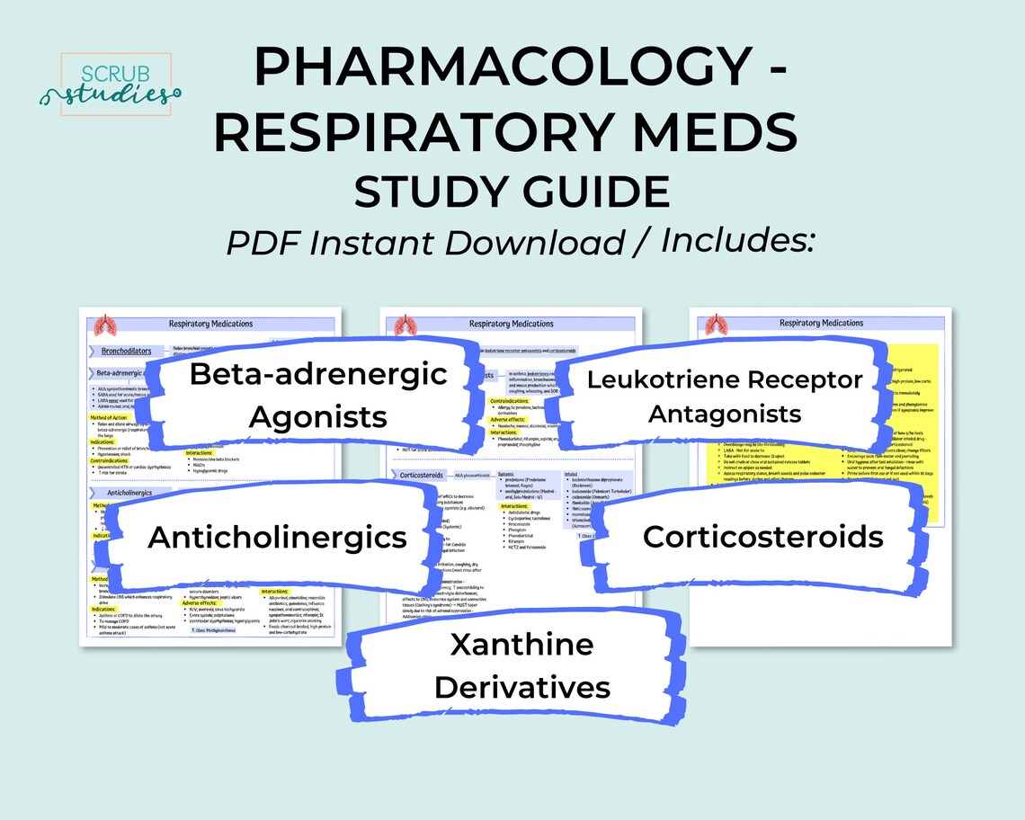 Pharmacology Respiratory Meds Nursing Student Study Guide - Etsy