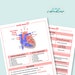 Cardiac Basics | Nursing Study Guides | Digital Download | Cardiac ...