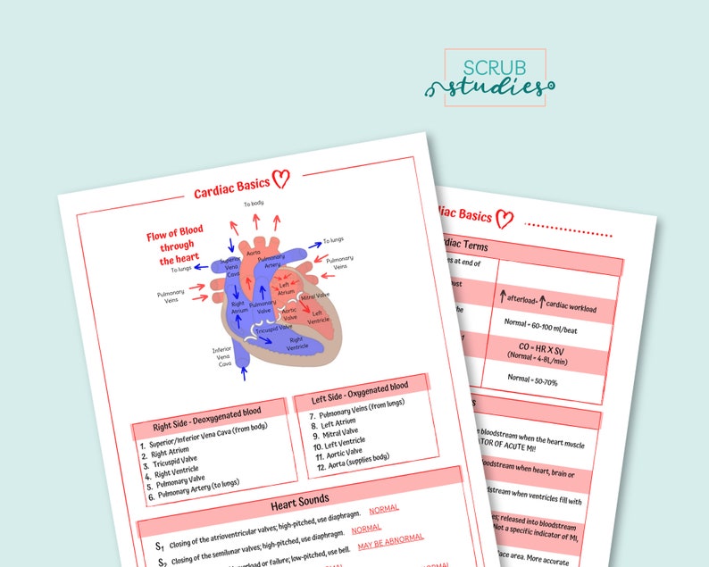 Cardiac Basics Nursing Study Guides Digital Download Cardiac Terms ...