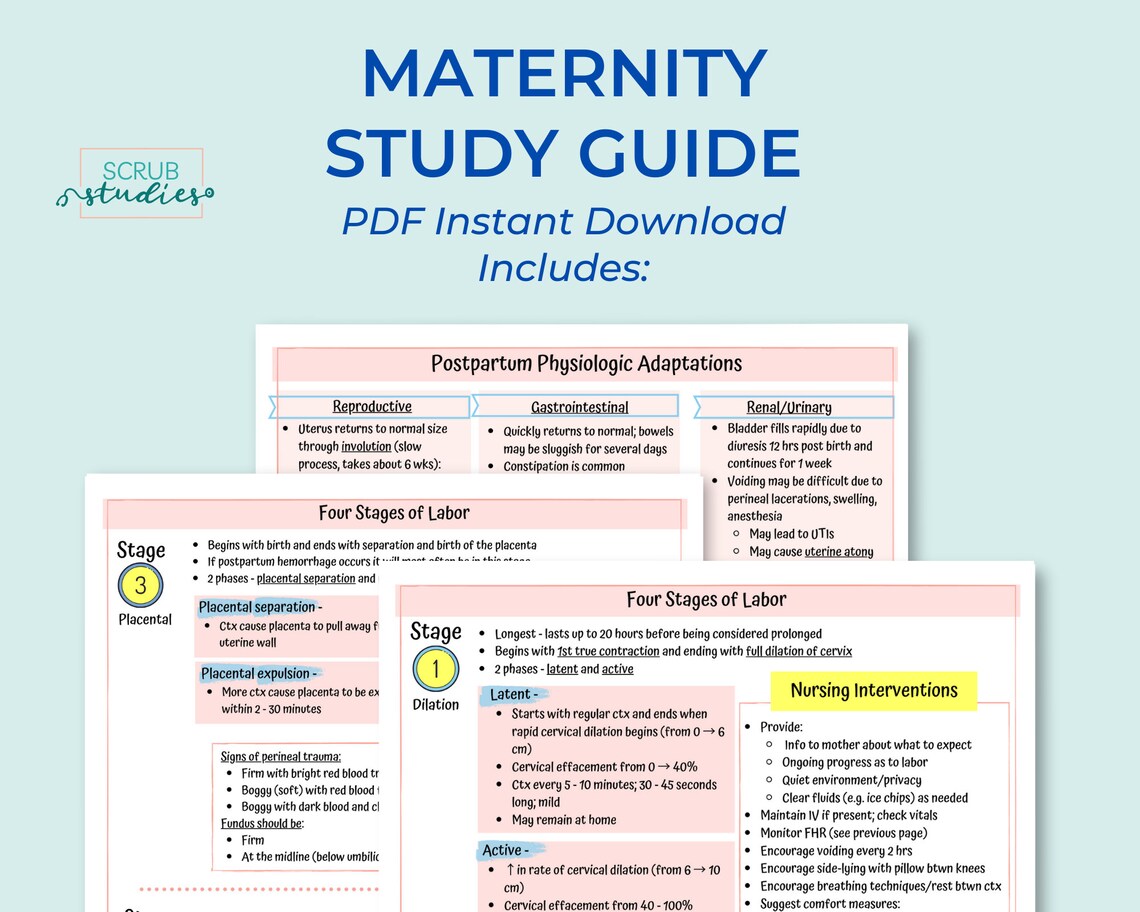 OB & Maternity Study Guide Nursing Student Study Guide - Etsy