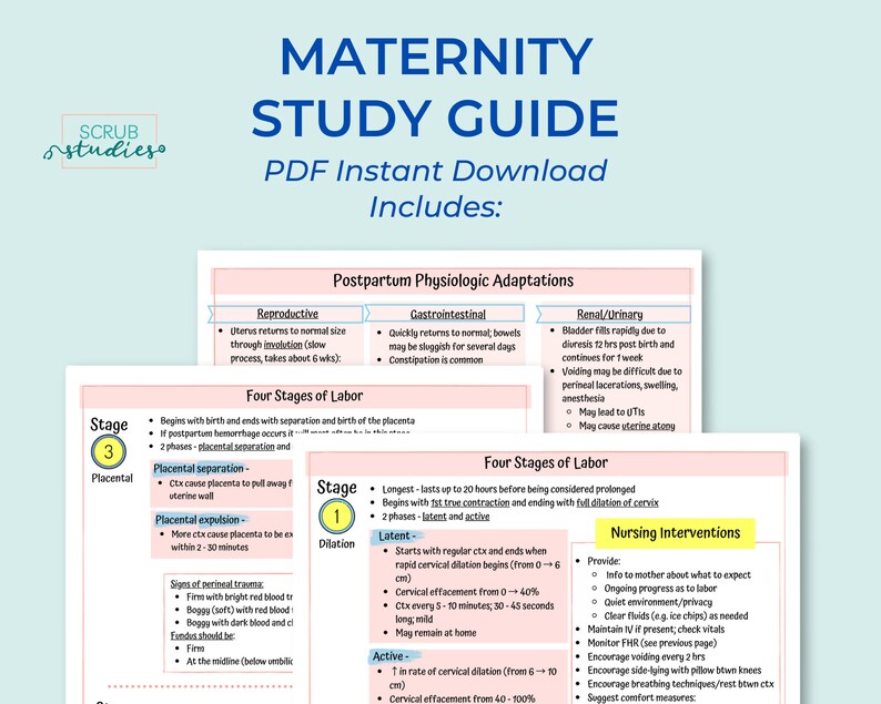 OB & Maternity Study Guide Nursing Student Study Guide - Etsy
