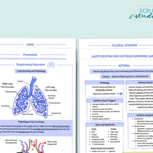 Respiratory Disorders Study Guide Nursing Student Study - Etsy