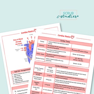 Cardiac Basics | Nursing Study Guides | Digital Download | Cardiac ...