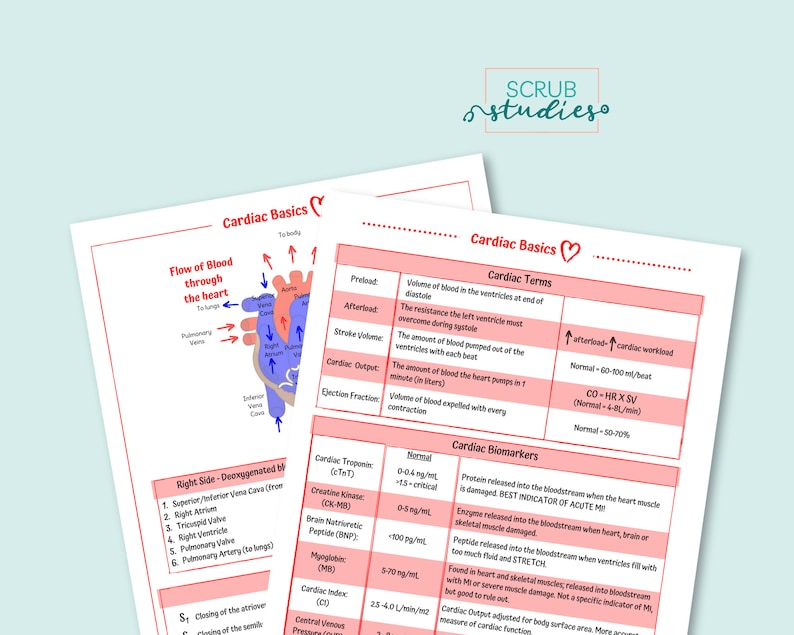 Cardiac Basics | Nursing Study Guides | Digital Download | Cardiac ...
