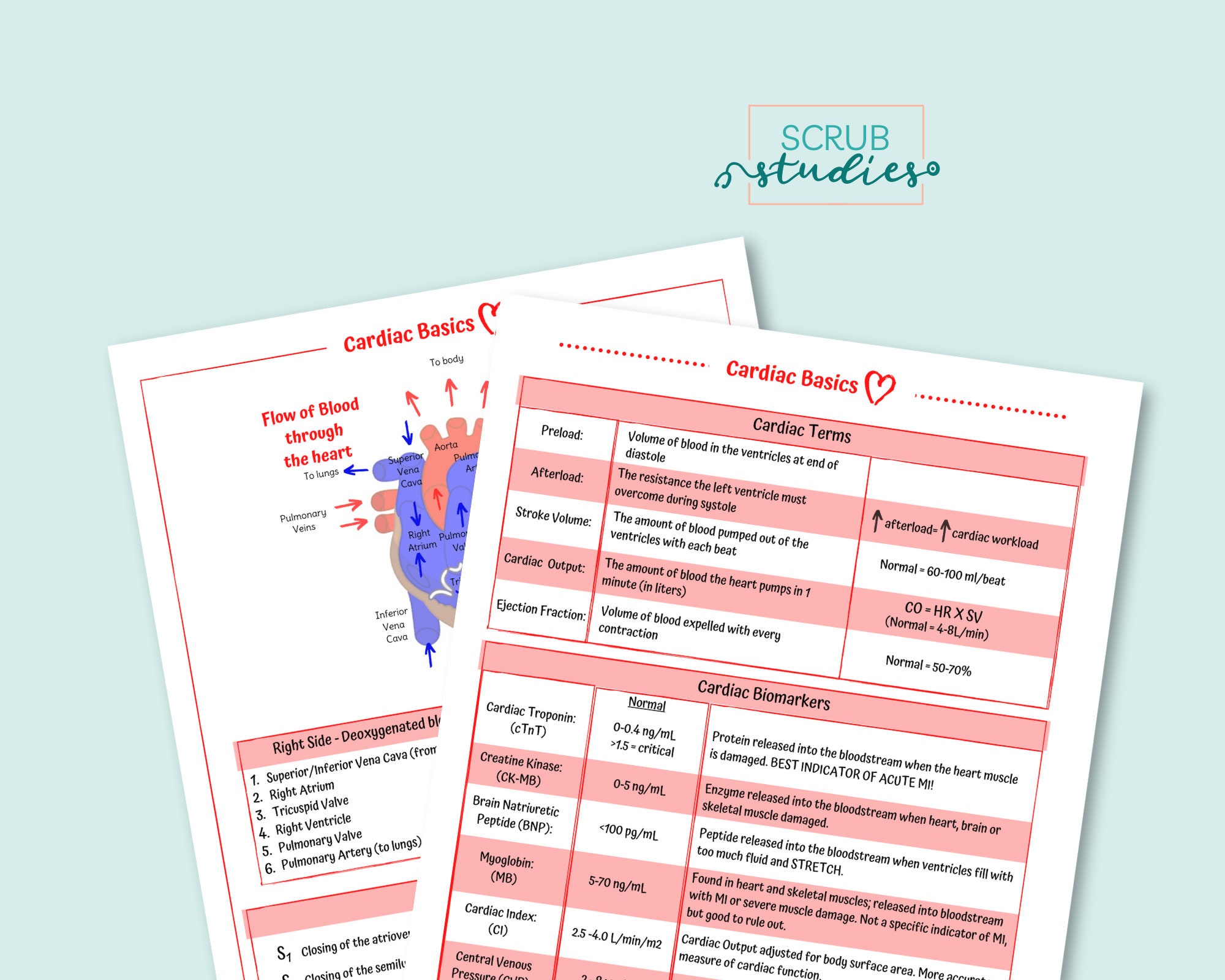 Cardiac Basics | Nursing Study Guides | Digital Download | Cardiac ...
