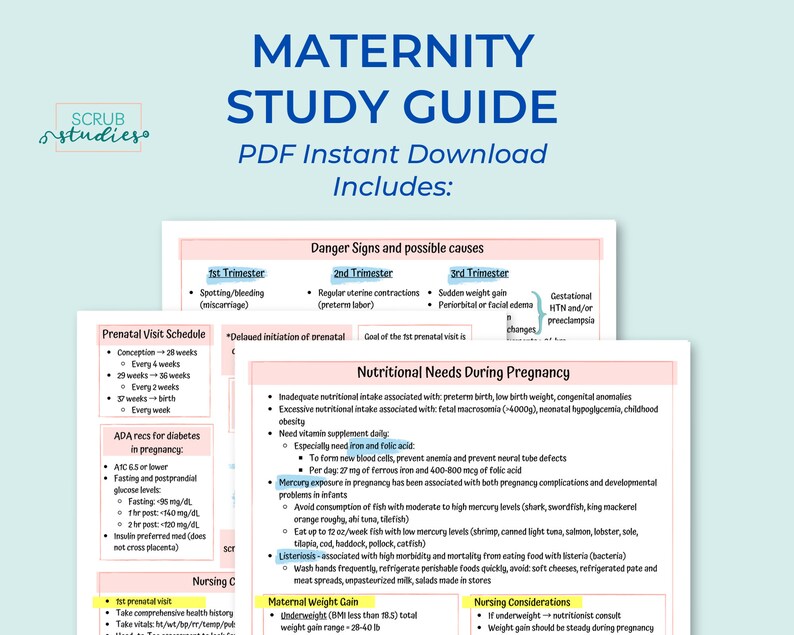 OB & Maternity Study Guide Nursing Student Study Guide - Etsy