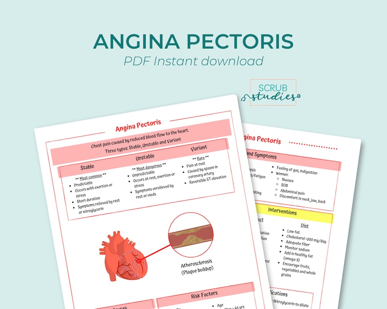 Cardiac Bundle Study Guide Nursing Study Guide Heart - Etsy