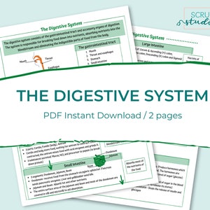 Gastrointestinal Bundle Nursing Study Guide GI Bundle - Etsy