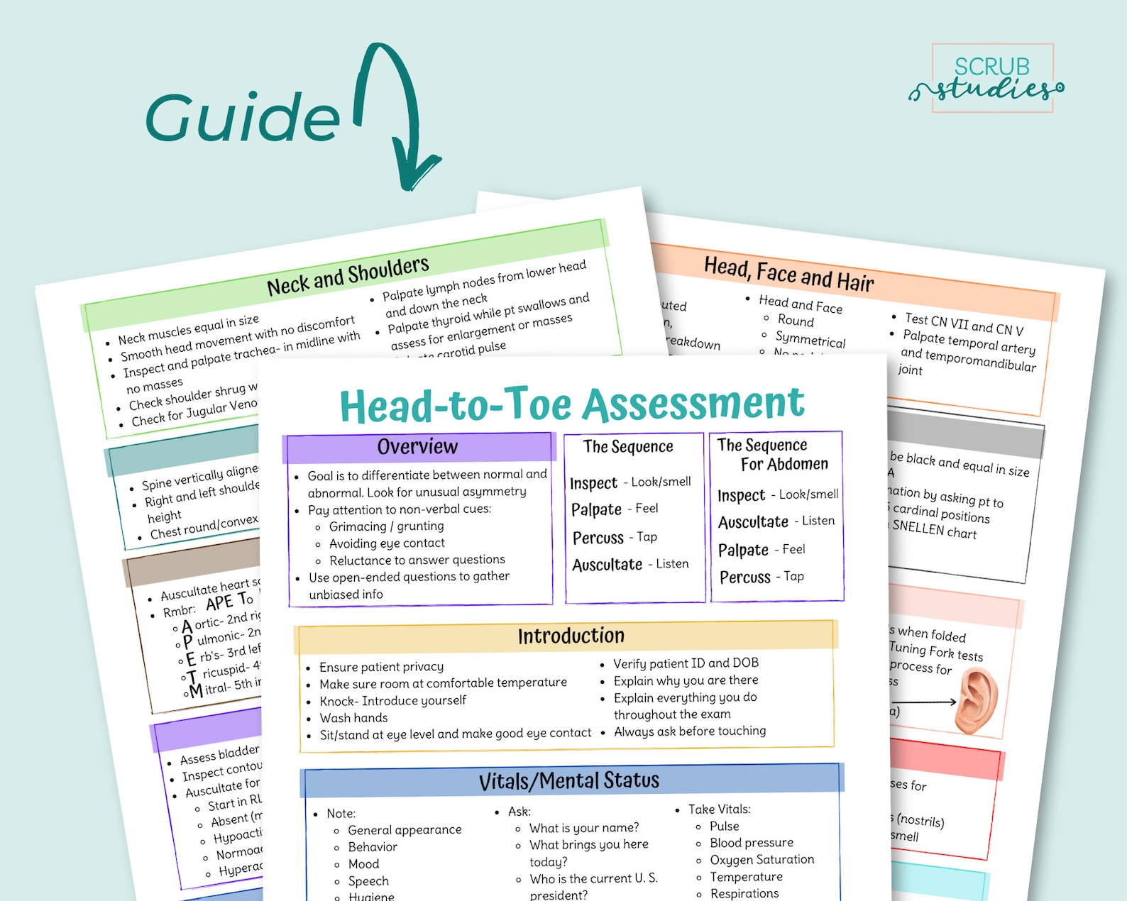 Head-to-toe Assessment Bundle Head-to-toe Guide - Etsy