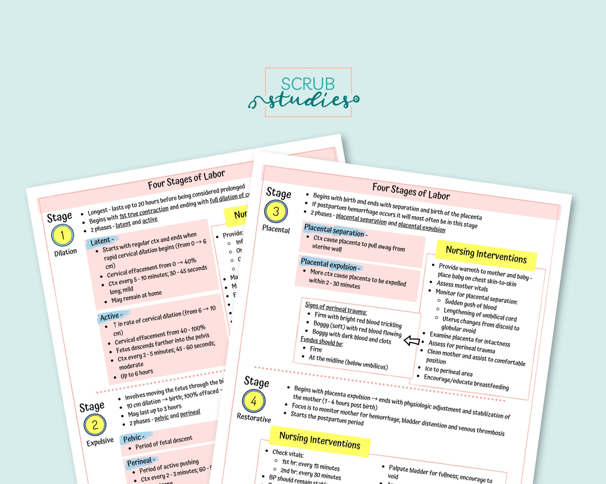 Stages of Labor | Nursing Student Study Guide | Nursing Study Notes ...