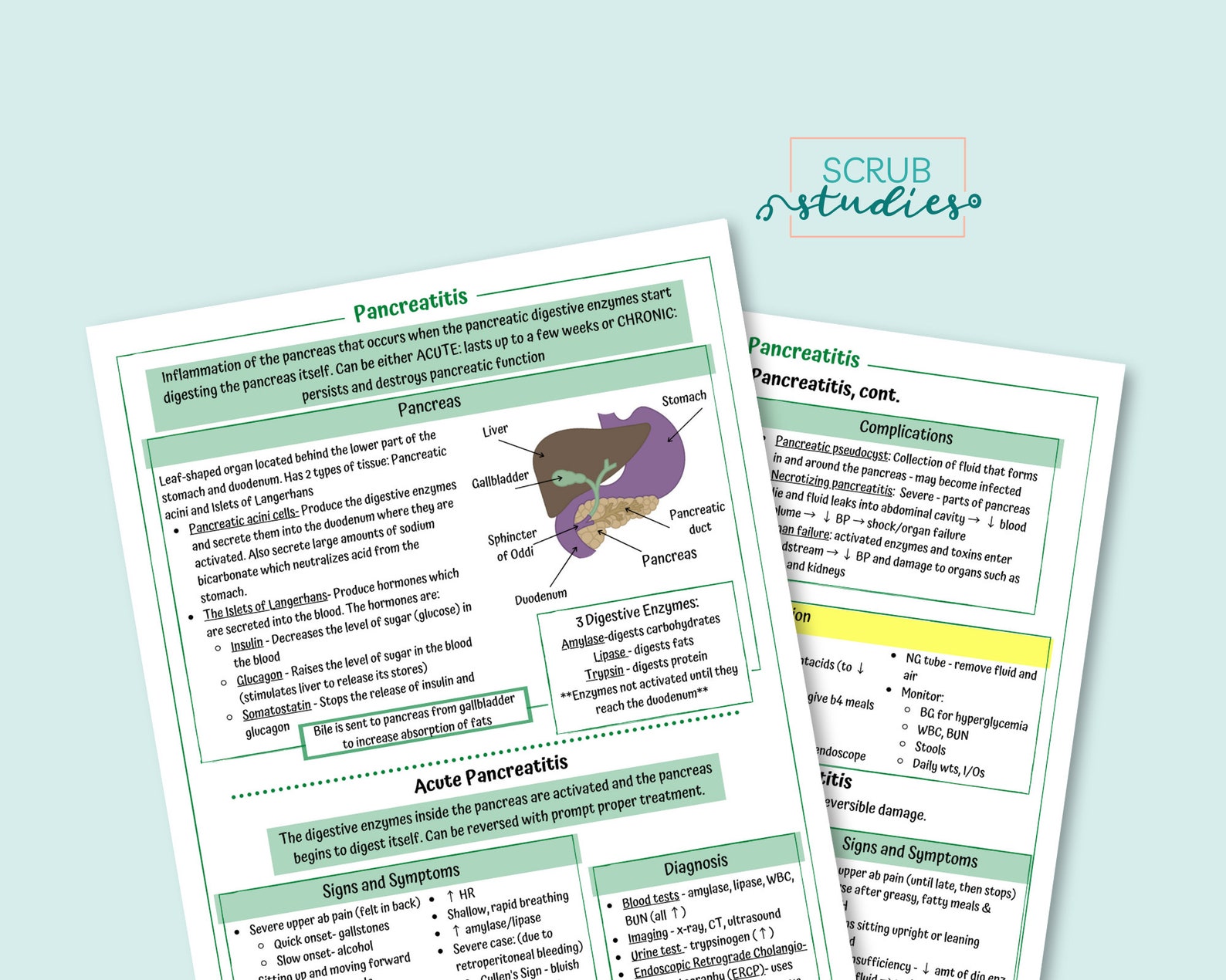 Pancreatitis Study Guide | Nursing Study Guide | Digital Download ...