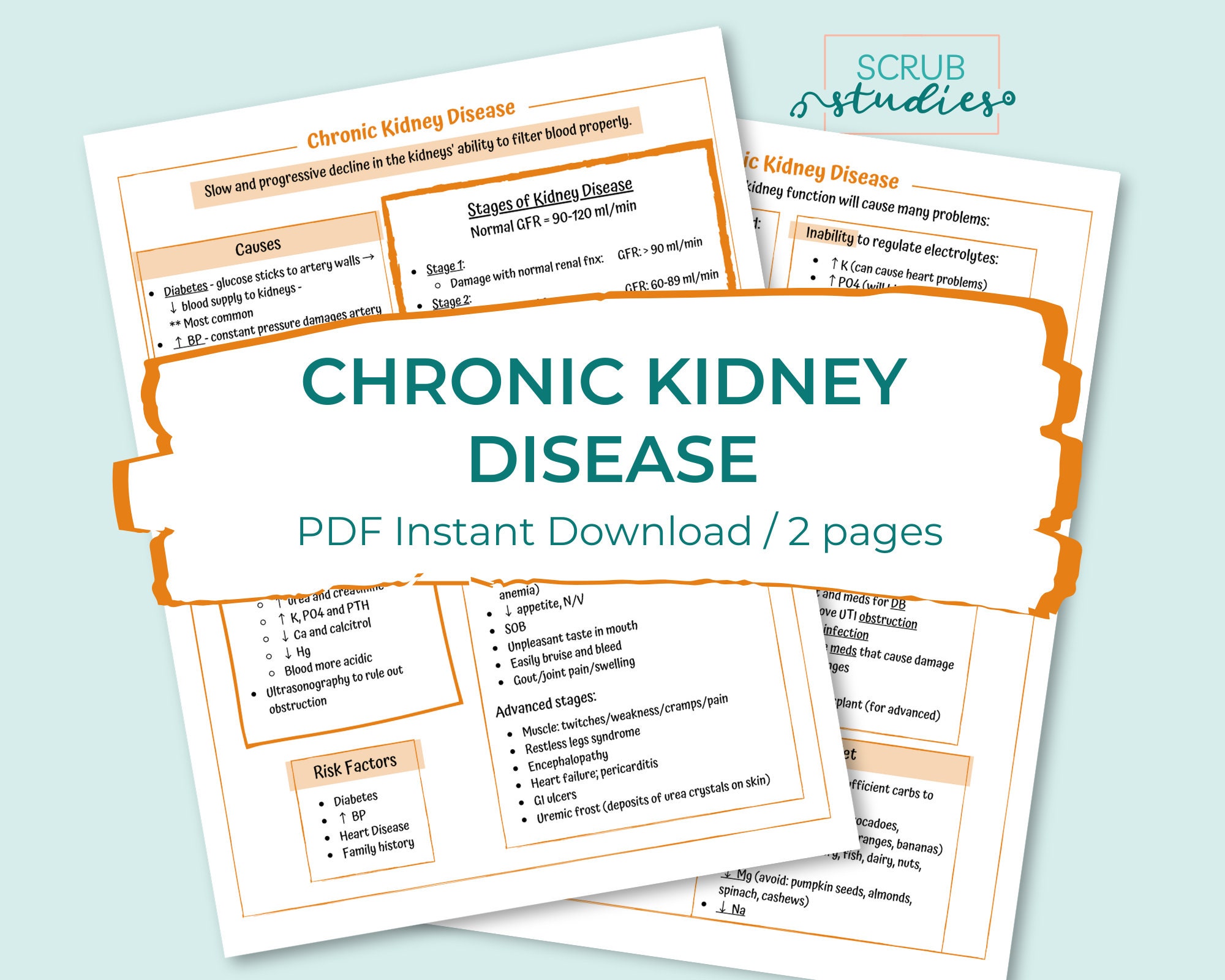 Chronic Kidney Disease Nursing Student Study Guide Digital Download - Etsy