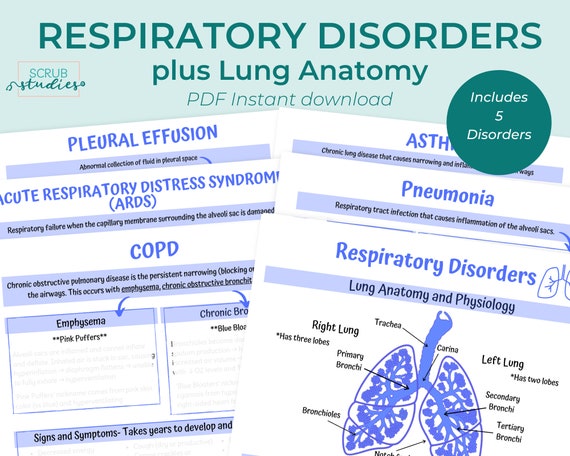 Respiratory Disorders study guide Nursing student study | Etsy