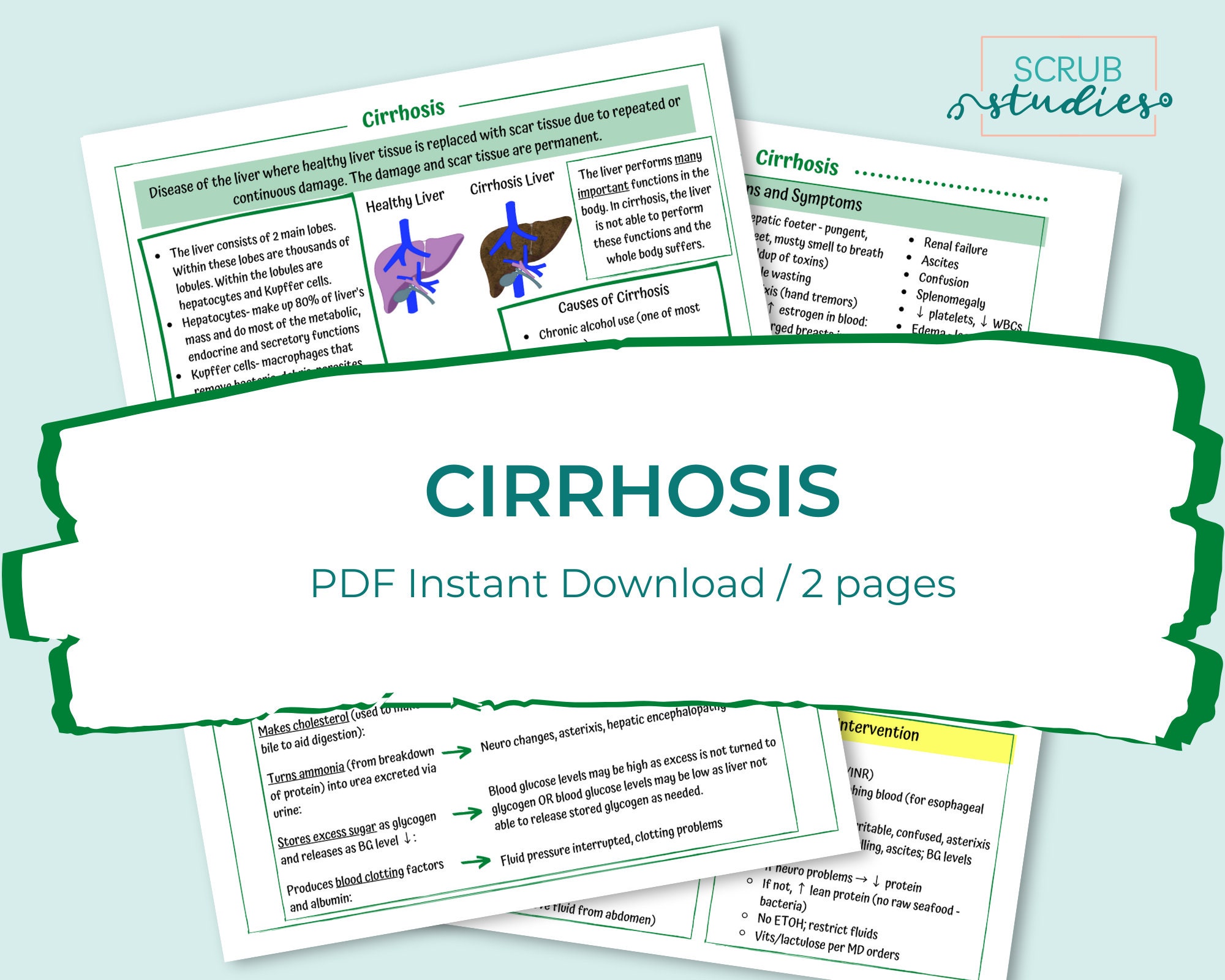 Gastrointestinal Bundle Nursing Study Guide GI Bundle - Etsy