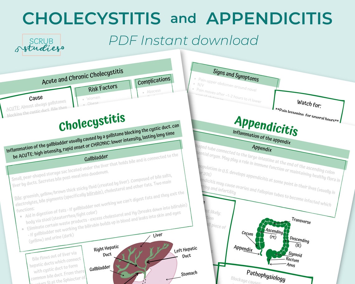 Cholecystitis and Appendicitis Study Guide Nursing Study - Etsy