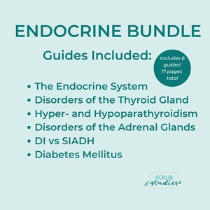 Endocrine Bundle | Nursing Student Study Guide | Digital Download ...