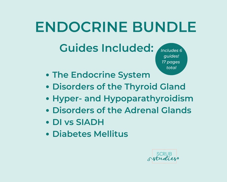 Endocrine Bundle | Nursing Student Study Guide | Digital Download ...