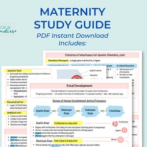 OB & Maternity Study Guide Nursing Student Study Guide - Etsy