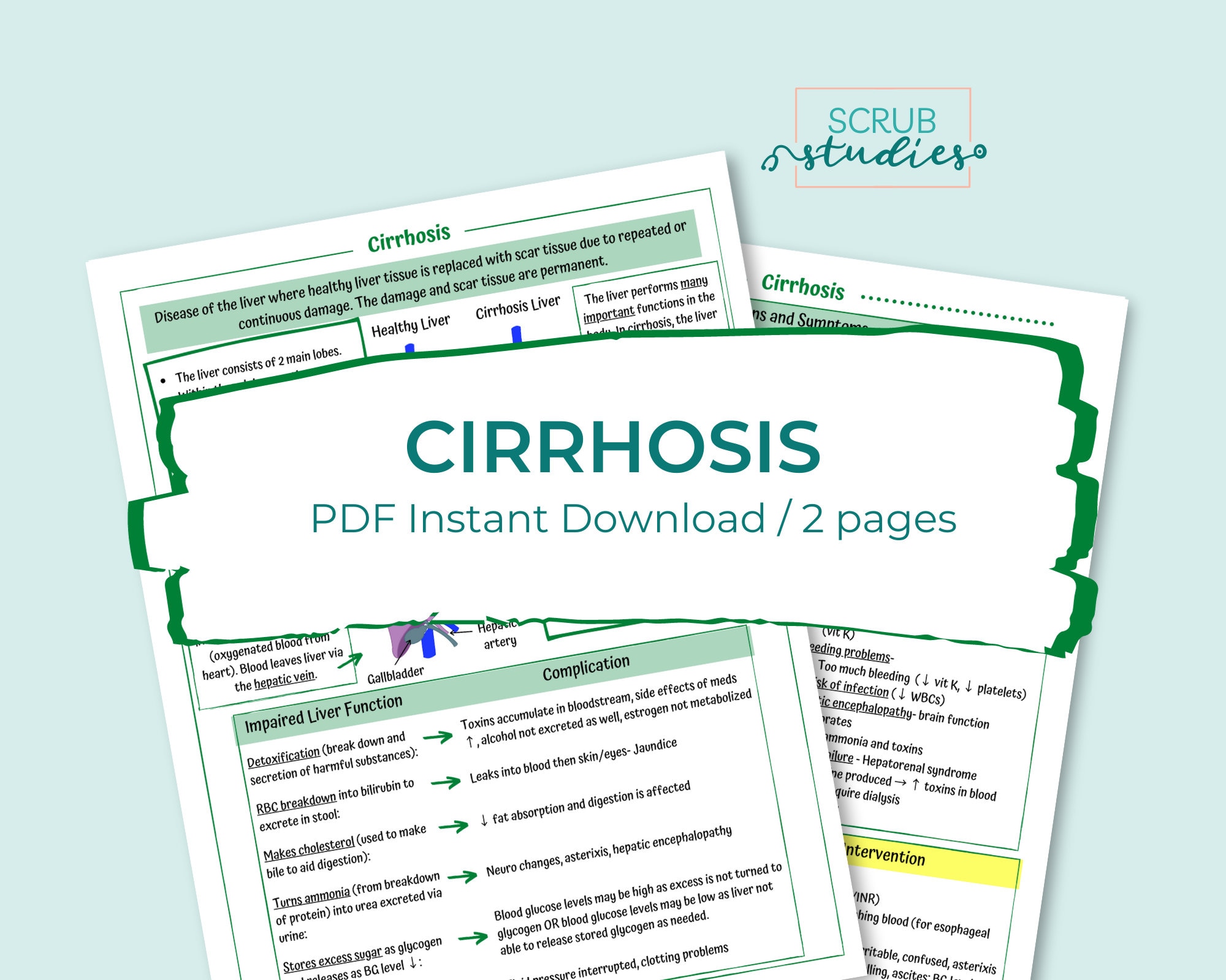 Cirrhosis Study Guide | Nursing Study Guide | Digital Download ...