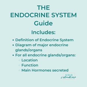 Endocrine System Study Guide | Nursing Study Notes | Digital Download ...