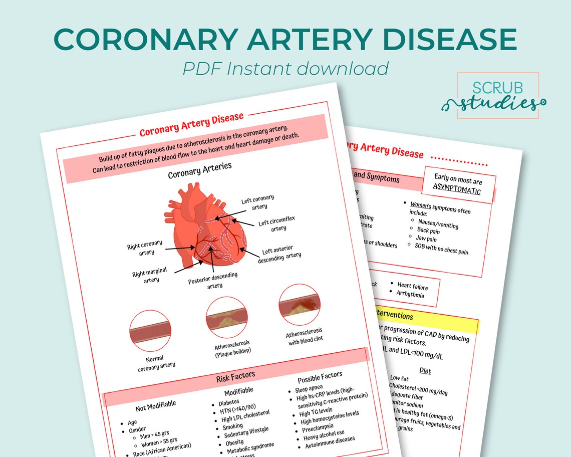 Cardiac Bundle Study Guide Nursing Study Guide Heart - Etsy
