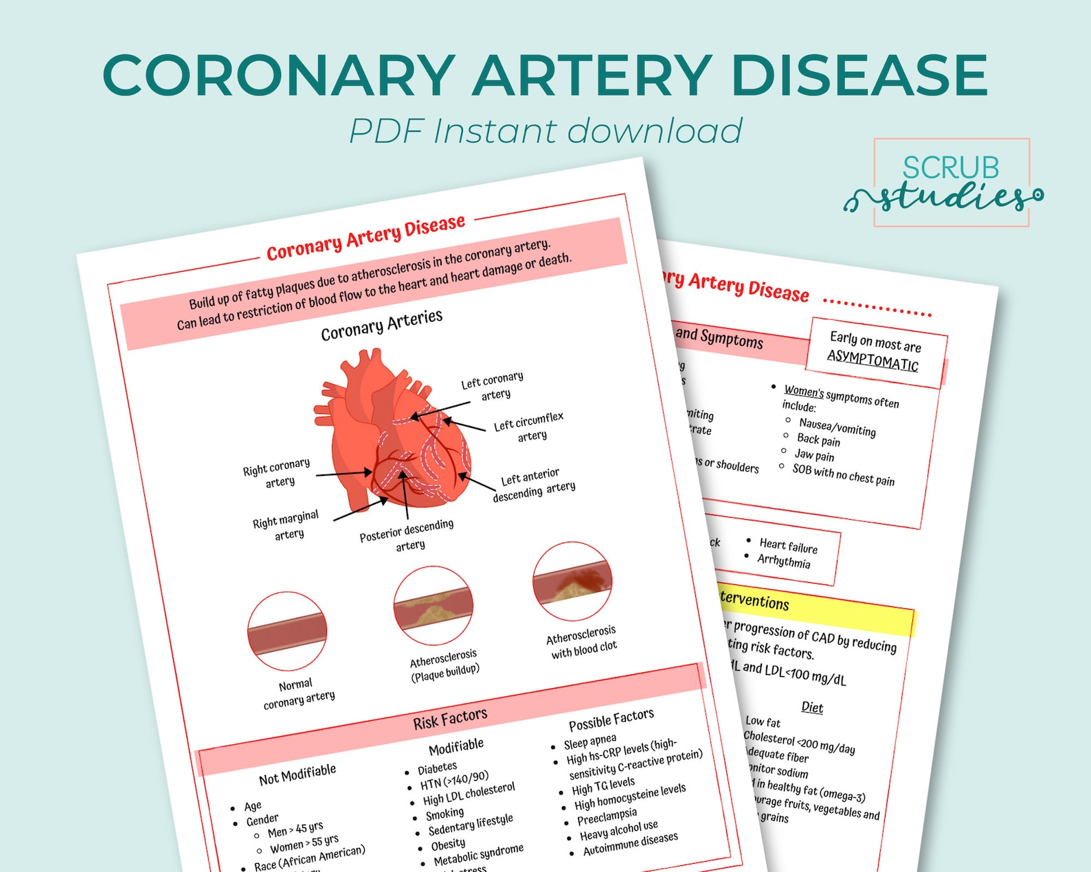 Cardiac Bundle Study Guide Nursing Study Guide Heart - Etsy