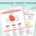 Cardiac Bundle Study Guide Nursing Study Guide Heart - Etsy