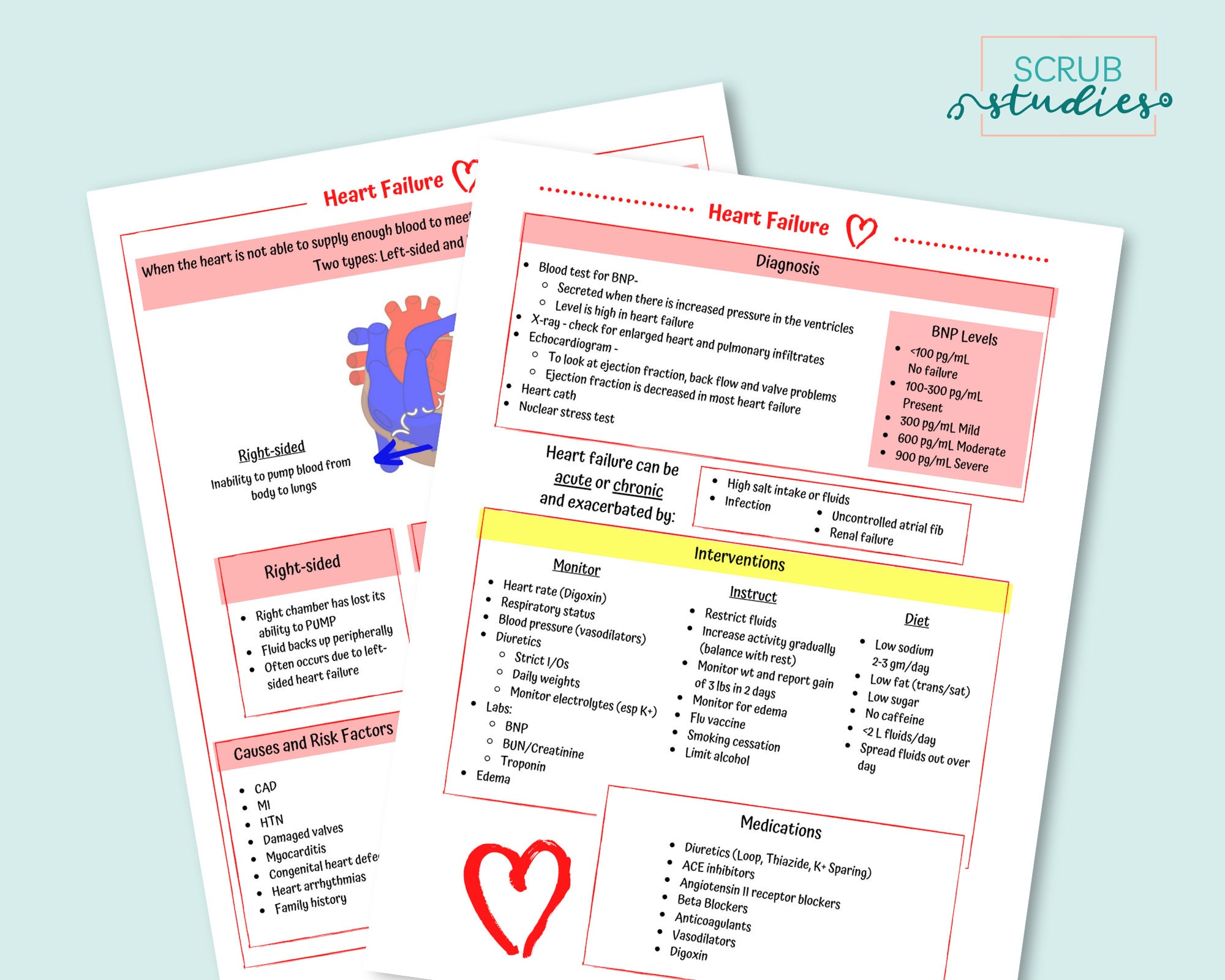 Heart Failure Study Guide Digital Download Nursing Study - Etsy