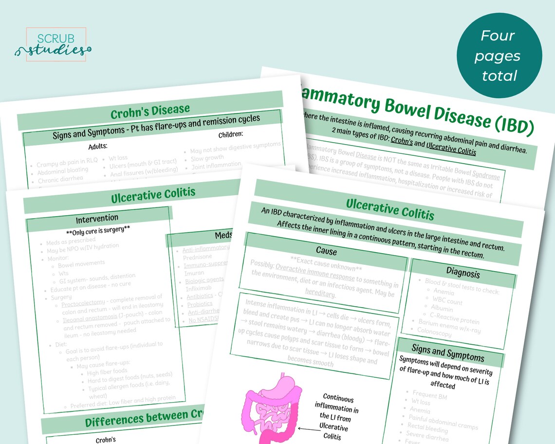 Inflammatory Bowel Disease Study Guide Crohn's Disease | Etsy