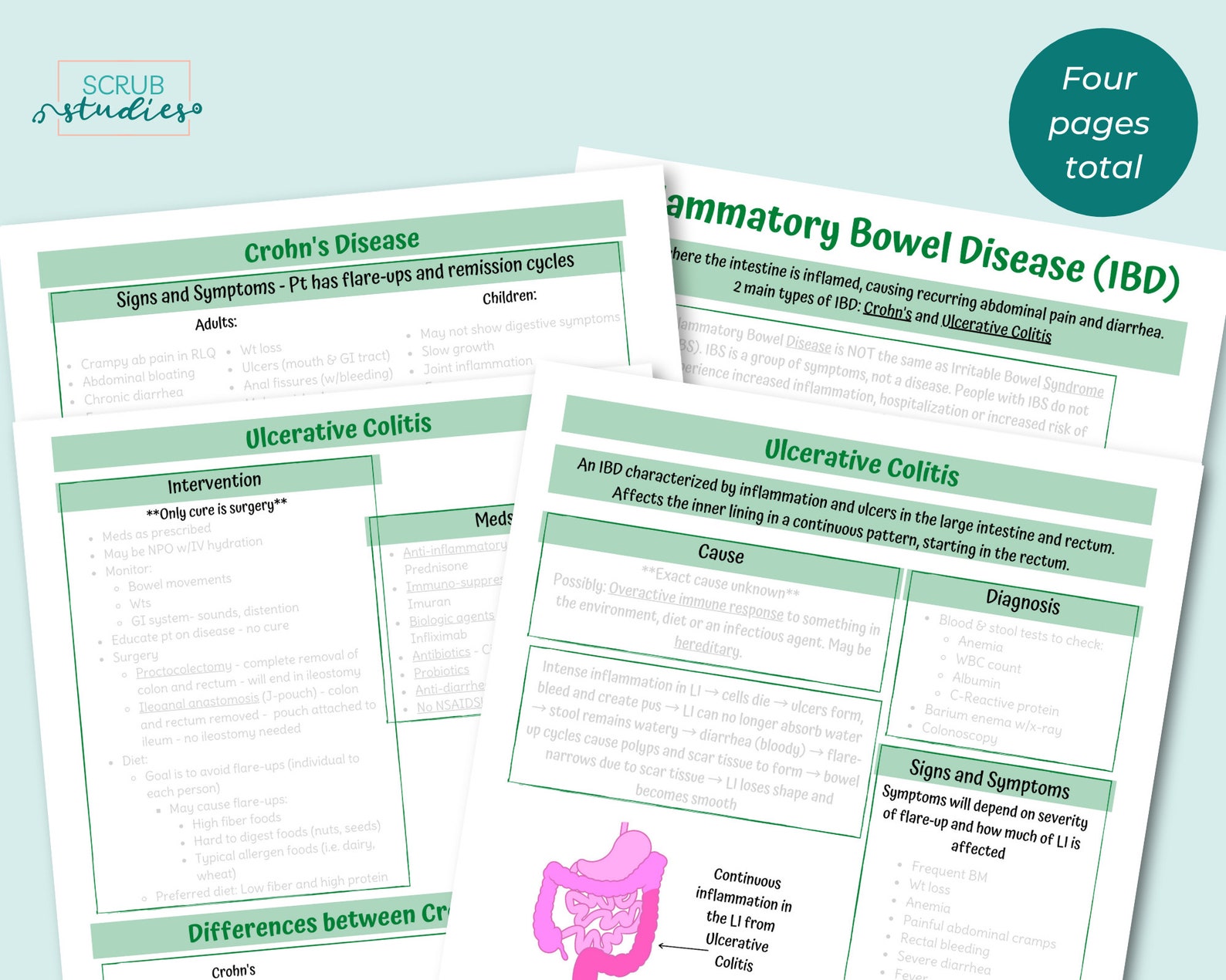 Inflammatory Bowel Disease Study Guide Crohn's Disease | Etsy