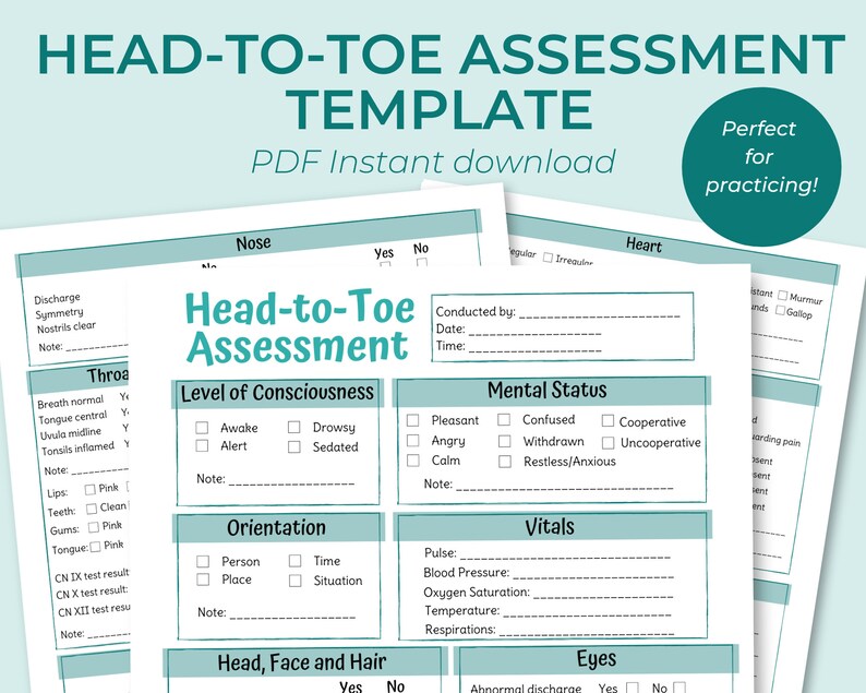 Head-to-toe Assessment Template Nursing Study Guide | Etsy