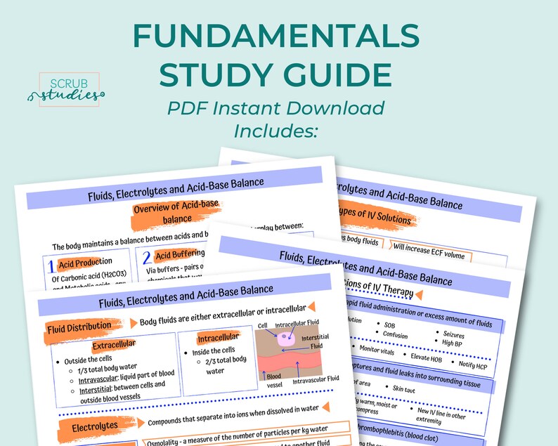 Fundamentals Study Guide Nursing Student Digital Download - Etsy