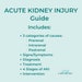 Acute Kidney Injury | AKI | Nursing Study Guide | Digital Download - Etsy