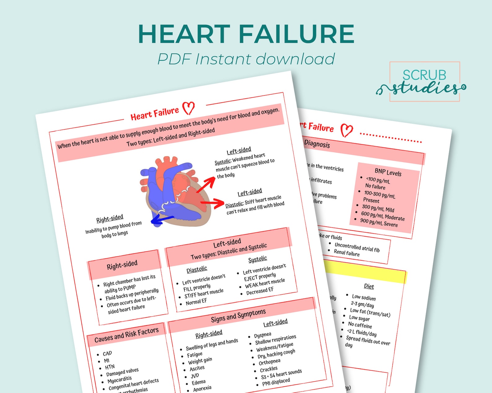 Cardiac Bundle Study Guide Nursing Study Guide Heart - Etsy