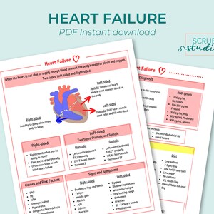 Cardiac Bundle Study Guide Nursing Study Guide Heart - Etsy