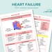 Cardiac Bundle Study Guide Nursing Study Guide Heart - Etsy