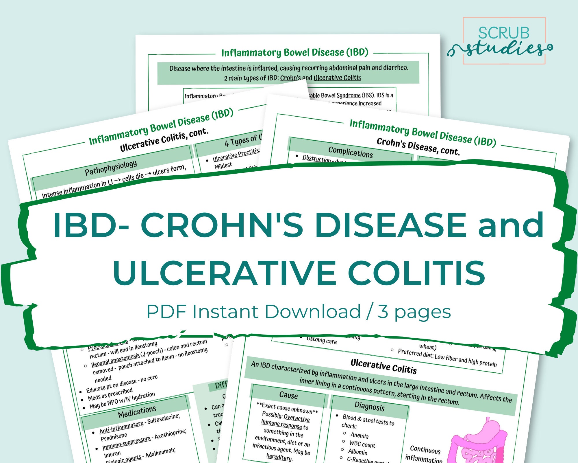 Gastrointestinal Bundle Nursing Study Guide GI Bundle - Etsy