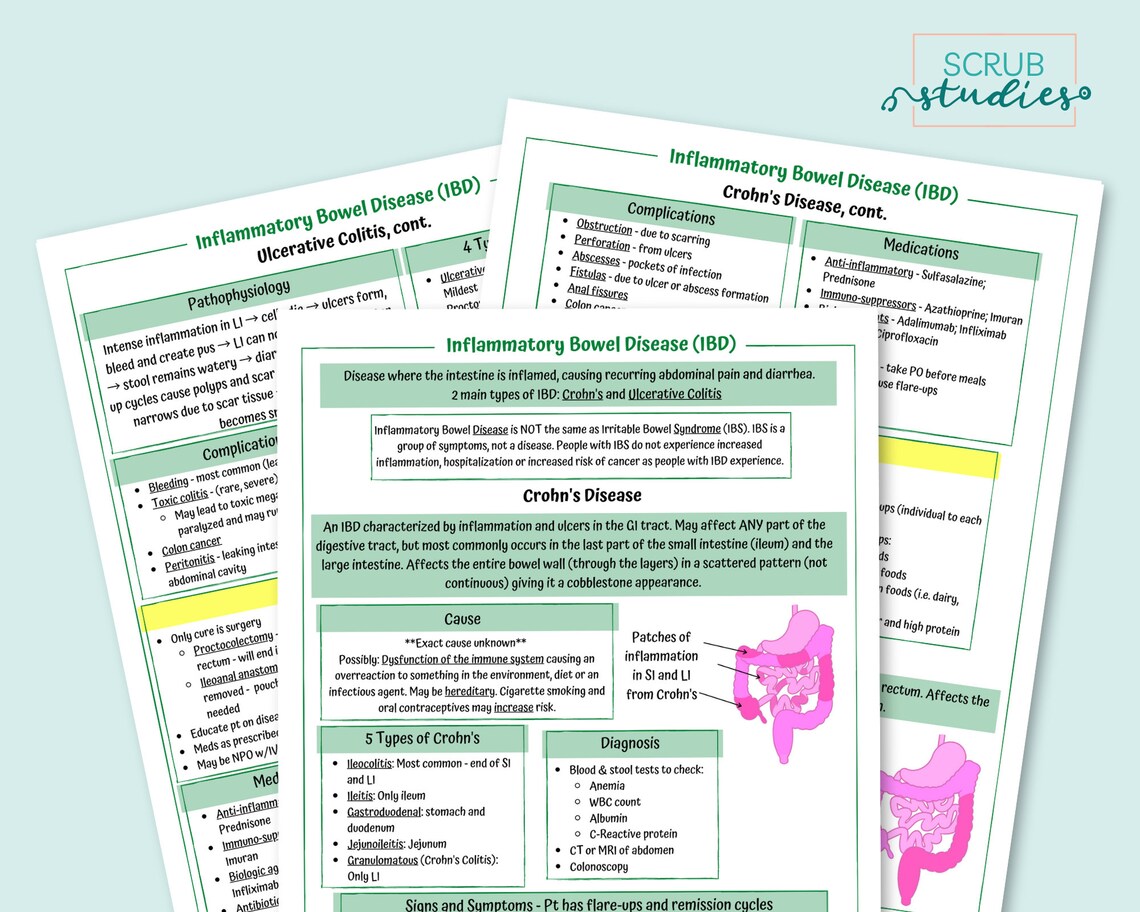 Inflammatory Bowel Disease Study Guide Crohn's Disease - Etsy