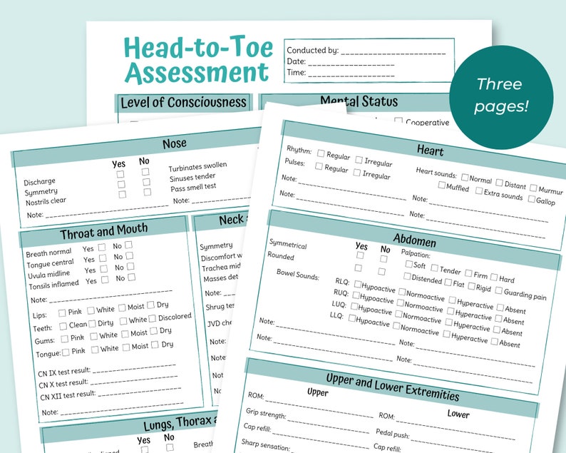 head-to-toe-assessment-template-nursing-study-guide-etsy