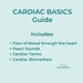 Cardiac Basics Nursing Study Guides Digital Download Cardiac Terms ...