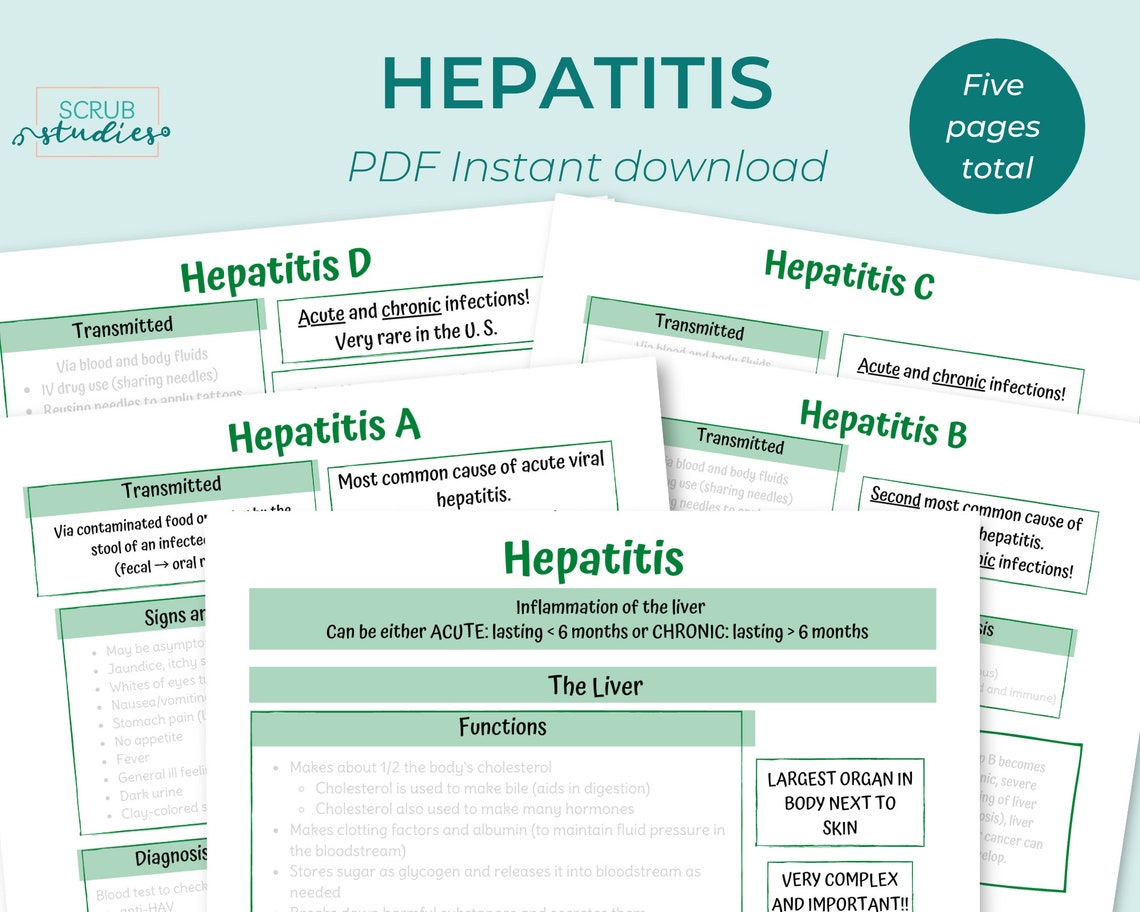 Gastrointestinal Bundle Nursing Study Guide GI Bundle | Etsy