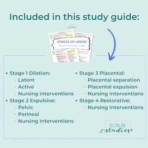 Stages of Labor | Nursing Student Study Guide | Nursing Study Notes ...