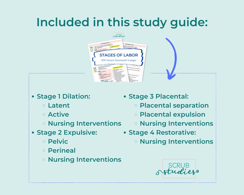 Stages of Labor | Nursing Student Study Guide | Nursing Study Notes ...