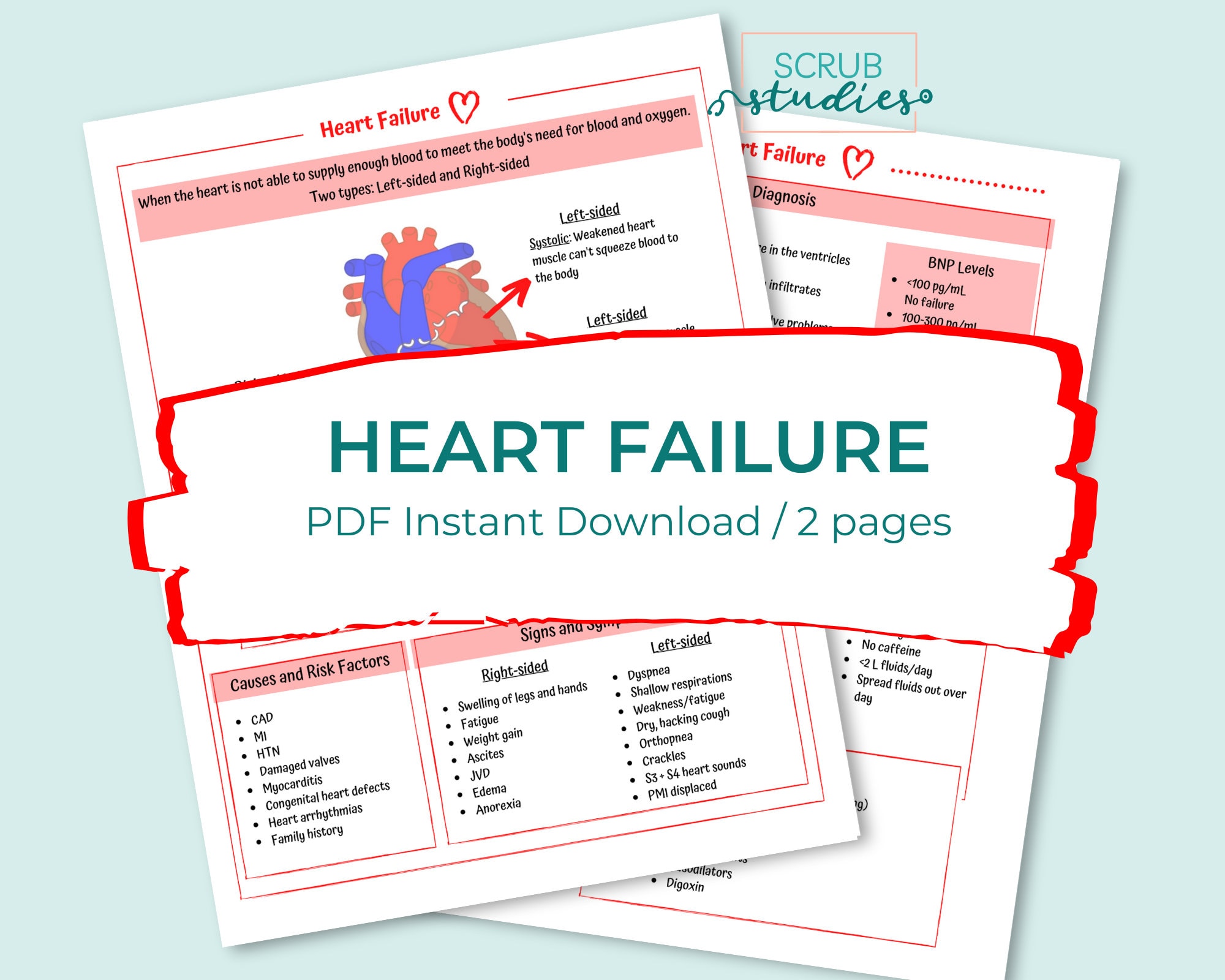 Heart Failure Study Guide | Digital Download | Nursing Study Guides ...