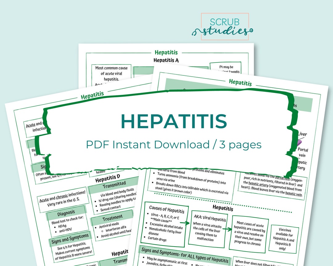 Hepatitis Study Guide Nursing Study Guide Digital Download Nursing ...