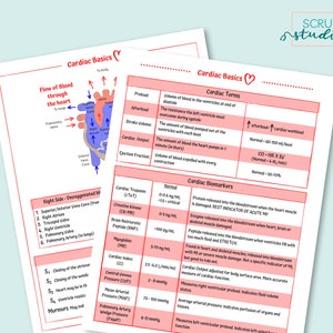 Cardiac Basics Nursing Study Guides Digital Download - Etsy