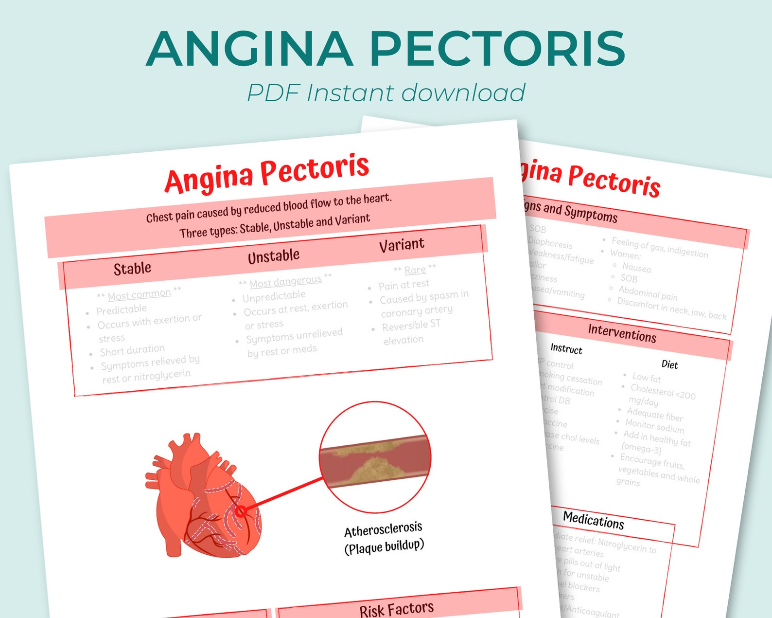 Cardiac Bundle Study Guide Nursing Study Guide Heart | Etsy